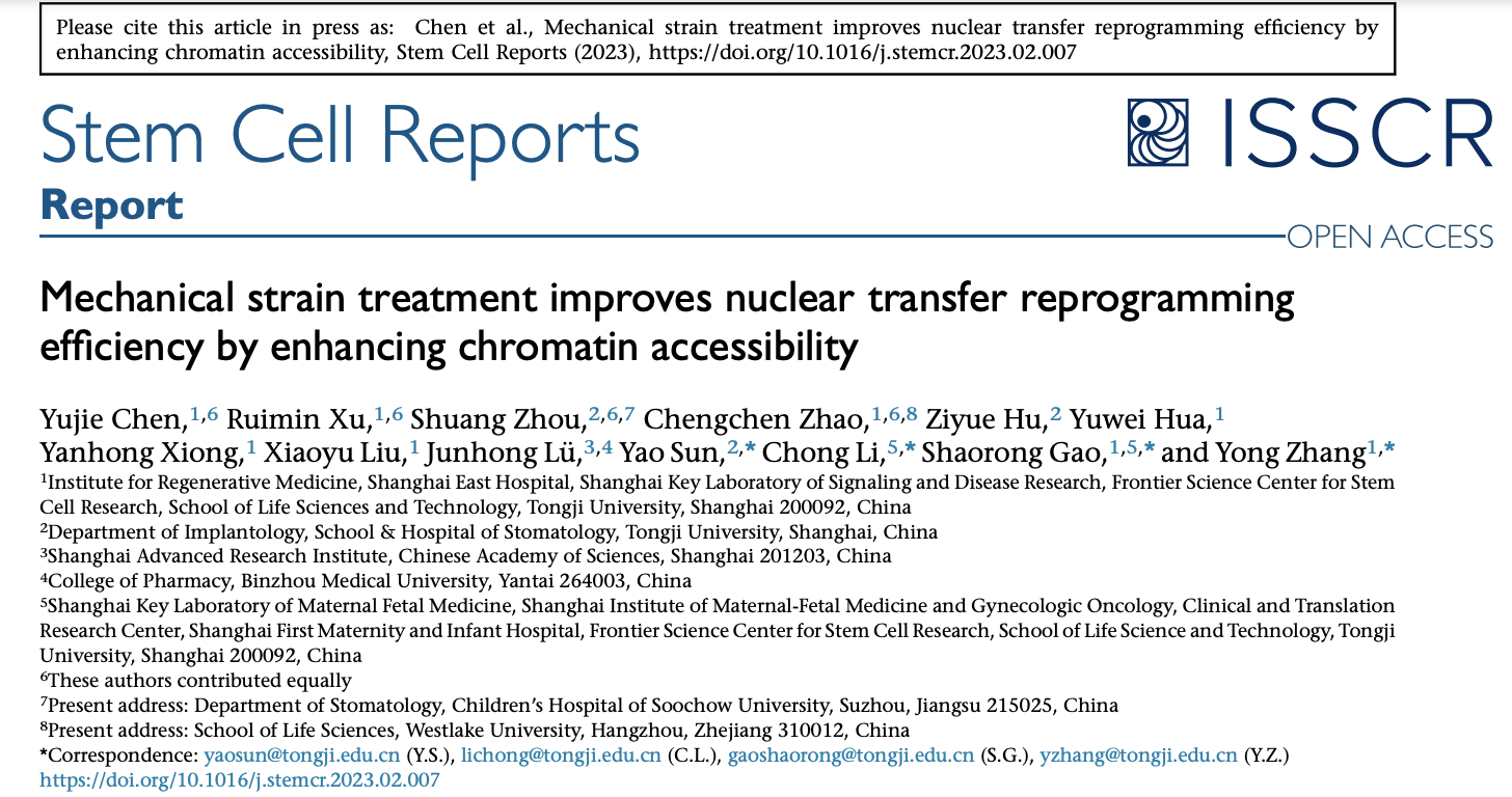 Stem Cell Reports | 张勇/高绍荣/李翀/孙瑶合作揭示机械力通过增强染色质可及性提升SCNT囊胚发育效率
