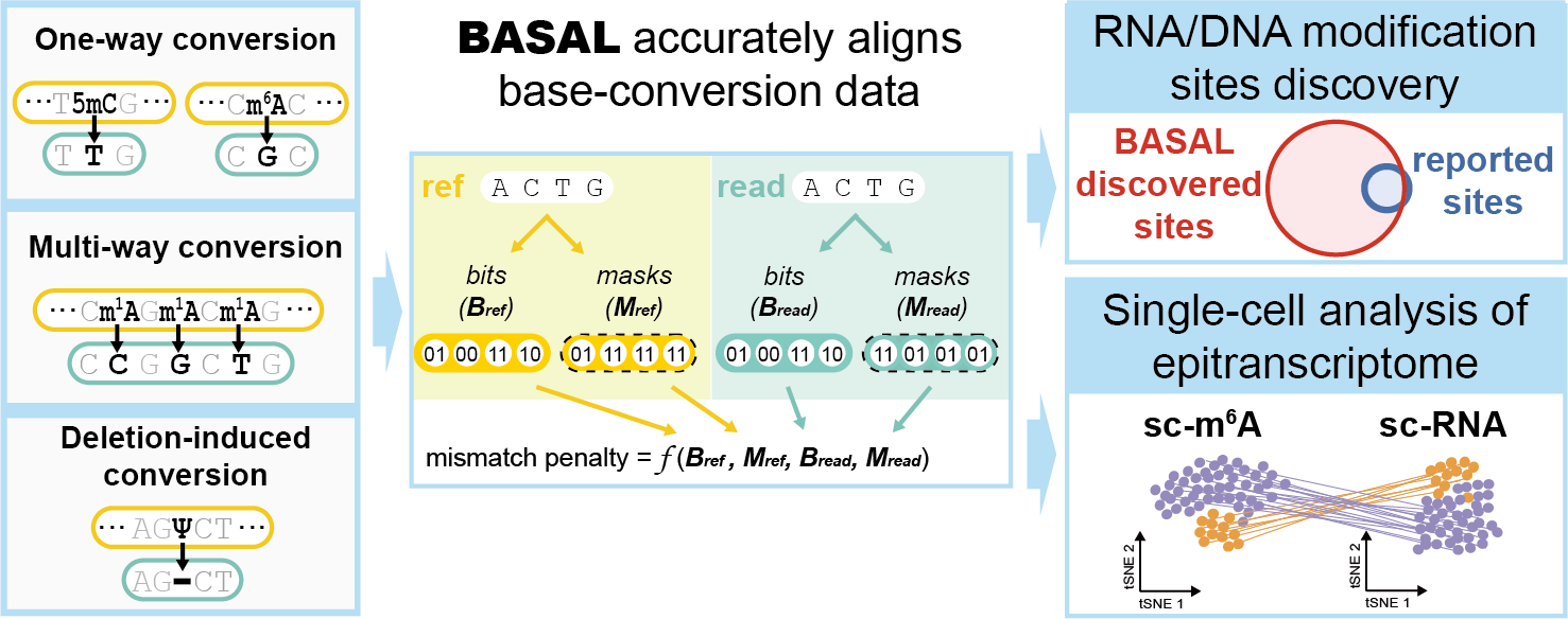 Nucleic Acids Research|史偈君/刘君等开发核酸修饰测序通用比对算法