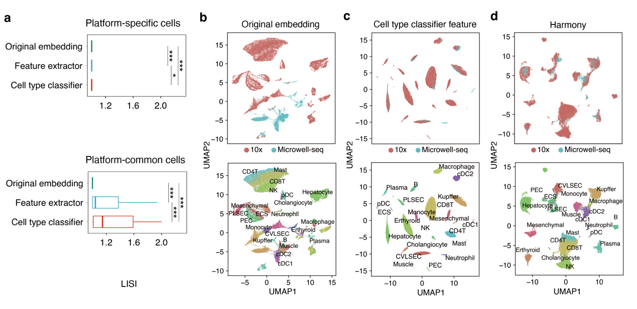 Cell Reports Methods｜王晨飞团队合作开发基于人工智能和大数据整合的单细胞注释工具SELINA