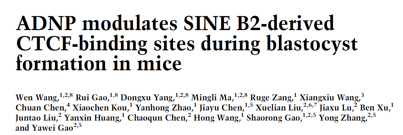 Genes & Development｜高亚威/张勇/高绍荣团队揭示CTCF在小鼠早期胚胎结合位点动态变化的内在机制