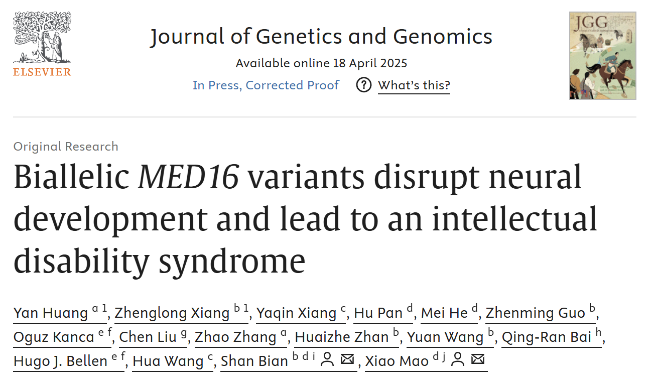 JGG｜边杉/毛翛/王华团队合作发现MED16双等位基因变异导致新型神经发育障碍